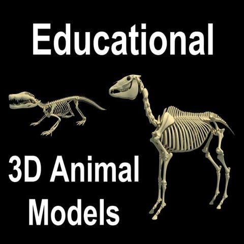 Educational 3D Animal Models | PPT