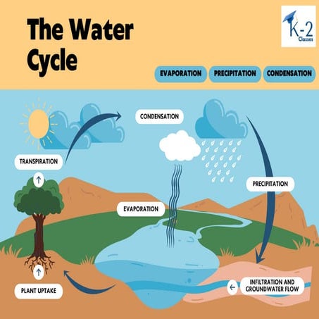 The Water Cycle: Earth's Essential Process | PPT