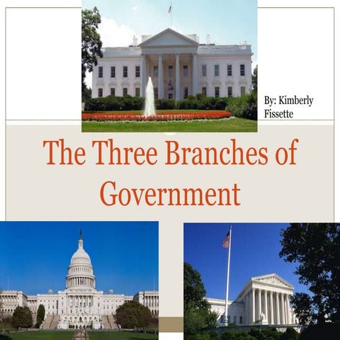 Three Branches of Government EDU 290 presentation | PPTX | Elections ...