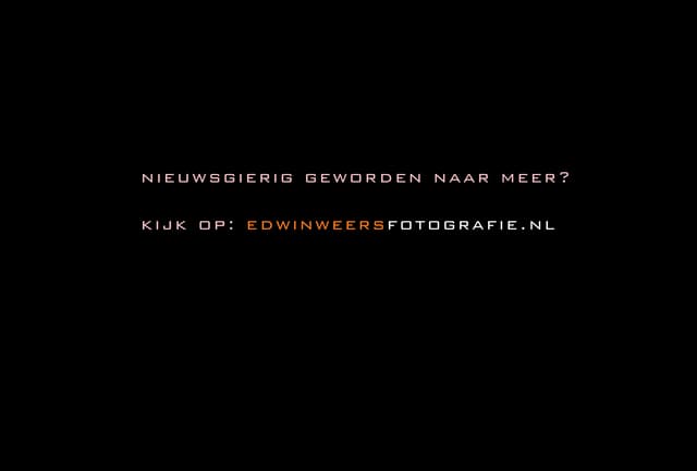 French les jours de la semaine word search