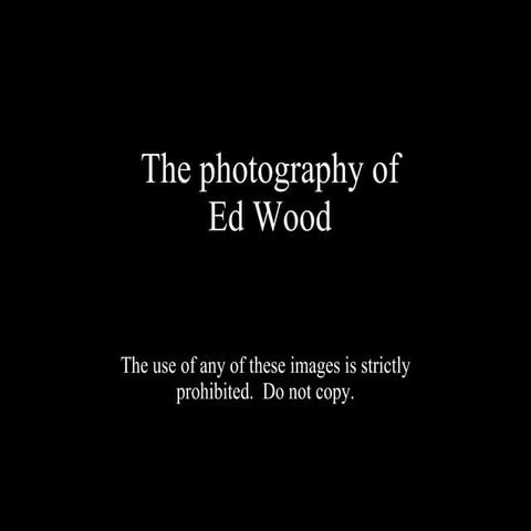 Ed Wood - Photographer | PPT