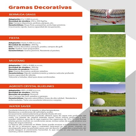 Ee.tt.grass | PDF