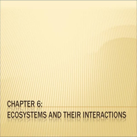 Ecosystems-Chapter 6 Notes | PPT