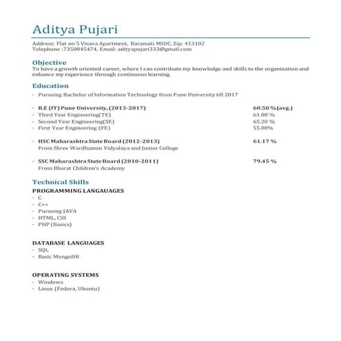 Resume | DOCX | Programming Languages | Computing