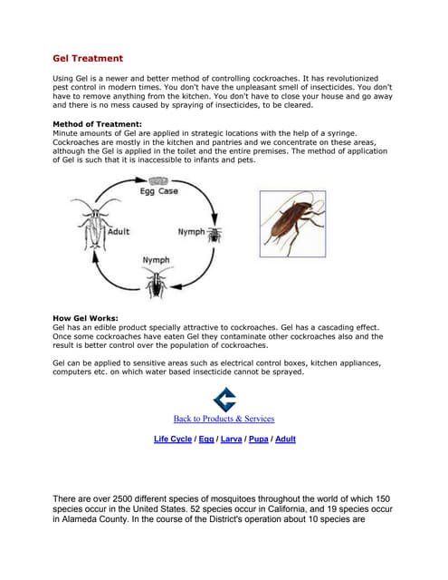 Difference between major mosquito species (Anophele, Culex and Aedes sp.) | PPTX
