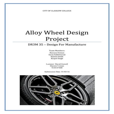 Haroon Usman's DFM Professional Report | PDF