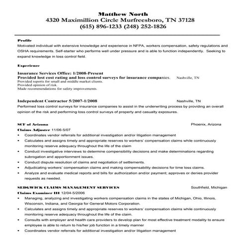 Matthew North Resume | DOC