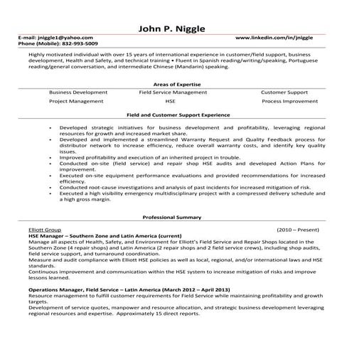 Niggle Resume 2015 | PDF