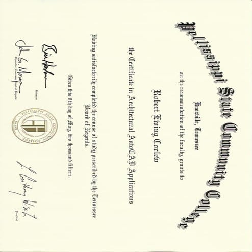 AutoCAD Certificate | PDF