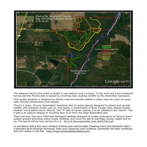Big Branch Marsh Map | PDF