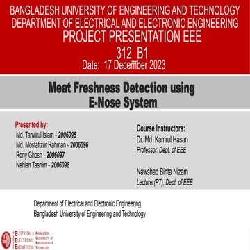 Meat freshness detection system using machine learning models.pptx