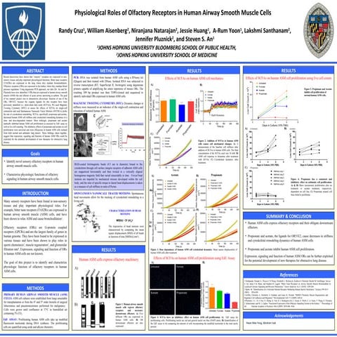 Actual Poster for SIP | PPT