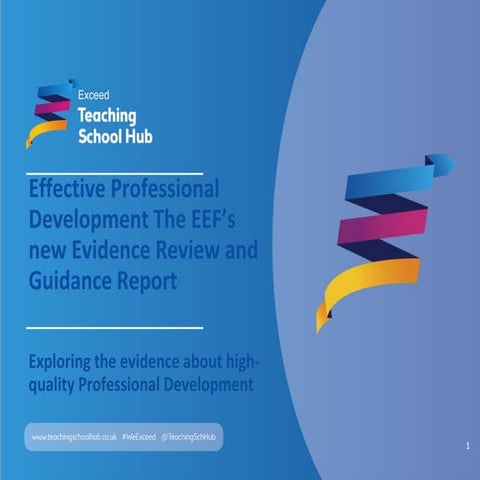 EEF guidance report and the ECT programme | PDF