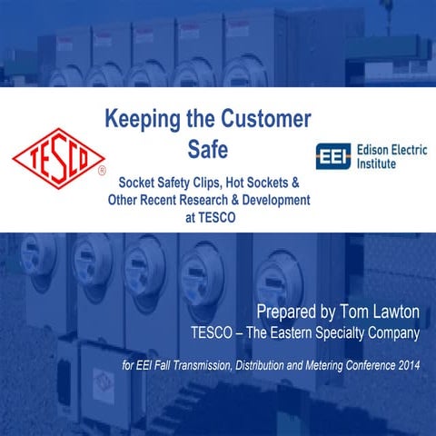 Keeping the Customer Safe | PPT