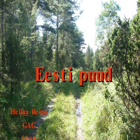 Eesti Puud | PPT
