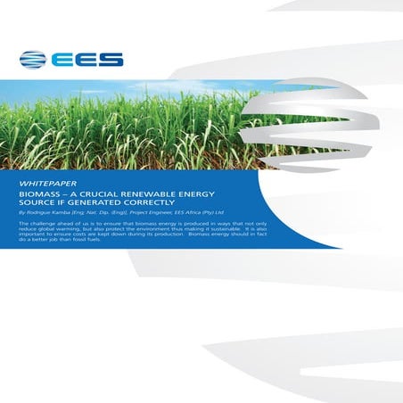 Ees white paper biomass mr | PDF | Power and Energy Industry | Industries