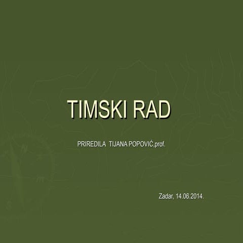 TIMSKI_RAD | PPT