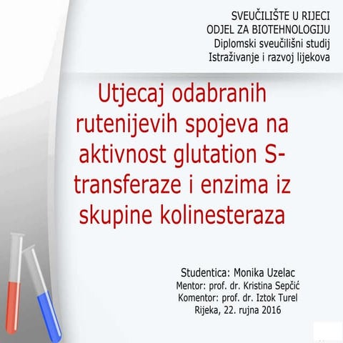 UzelacMonika, diplomski rad | PPT
