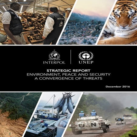 INTERPOL-UNEP Strategic Report - Environment, Peace and Security - A ...