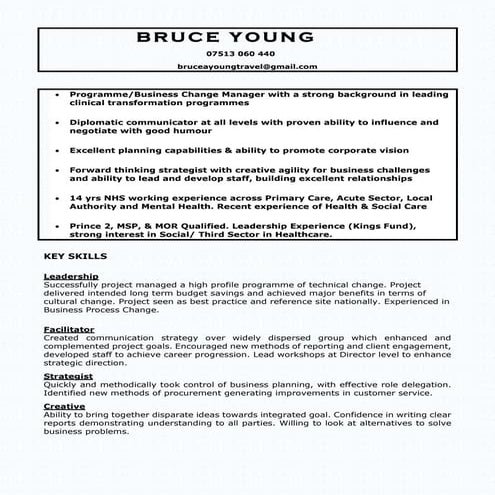 Bruce Young CV3.2 | PDF