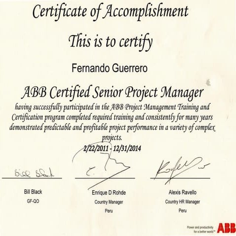 Senior Project Manager ABB | PPT