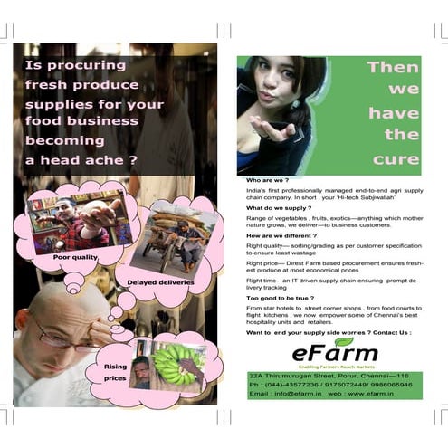 Efarm sales brochure_v0 | PDF