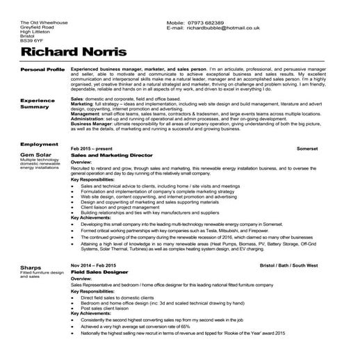 Resume Danny Lajer | PDF