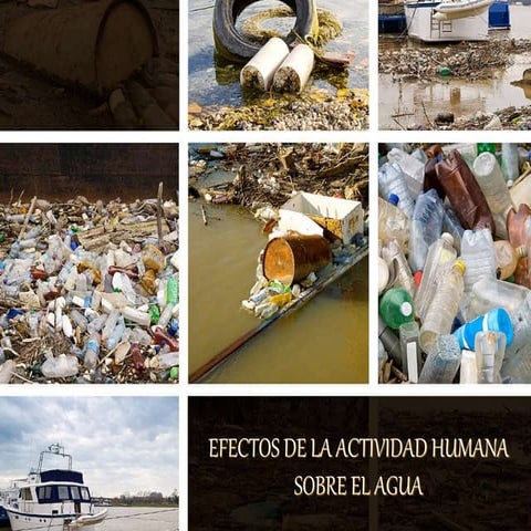 EFECTOS DE LA ACTIVIDAD HUMANA SOBRE EL AGUA 5°.pptx