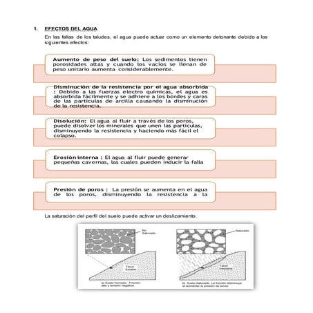 informe-metodo-norbert-morgenstern | DOCX