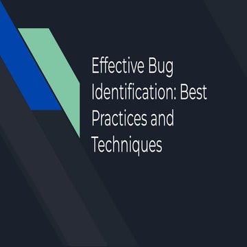 Effective Bug Identification-Best Practices and Techniques | PDF