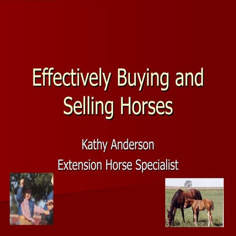 Effectively Buying And Selling Horses | PPT