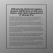 Break Fix Support.pptx