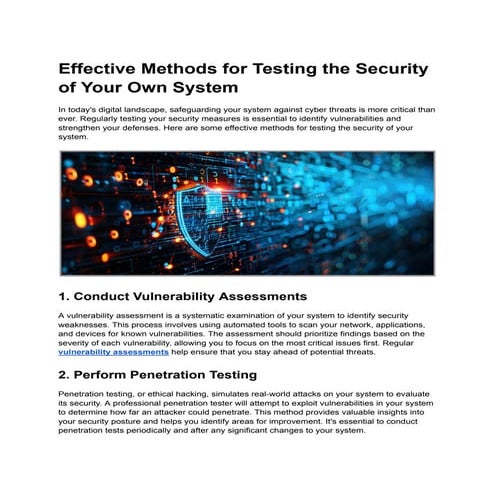 Effective Methods for Testing the Security of Your Own System.pdf
