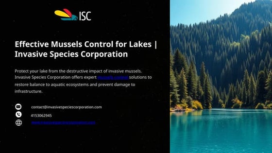 Zebra Mussel Infestation Protect Waterways with Invasive Species ...