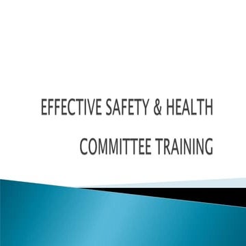 EFFECTIVE SAFETY & HEALTH COMMITTEE.pptx