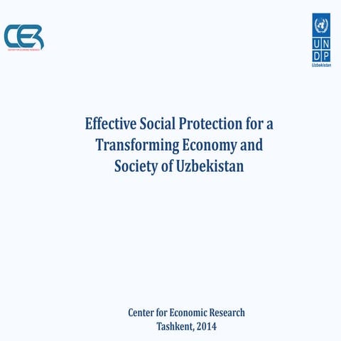 Effective Social Protection for a Transforming Economy and Society of ...