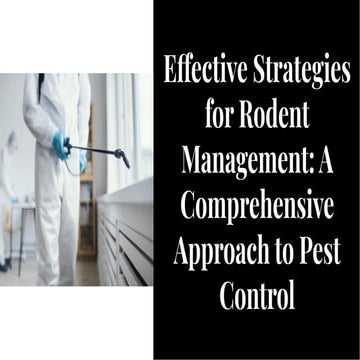 Effective Strategies for Rodent Management: A Comprehensive Approach to ...