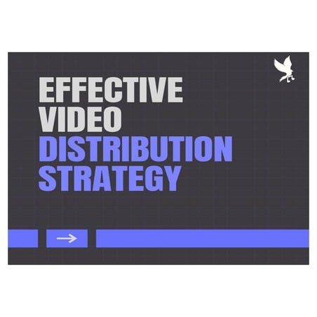 Effective video distribution strategy for artists | PDF