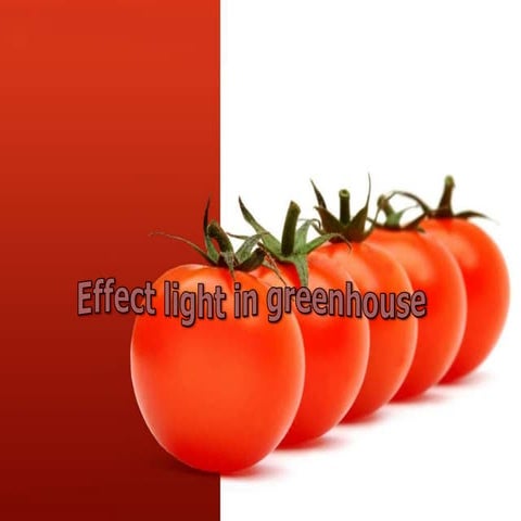 Effect light in greenhouse.pptx