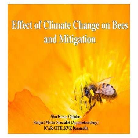 Effect of Climate Change on Bees & Mitigation .pdf