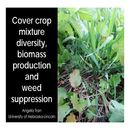 Effect of cover crop mixture species | PDF