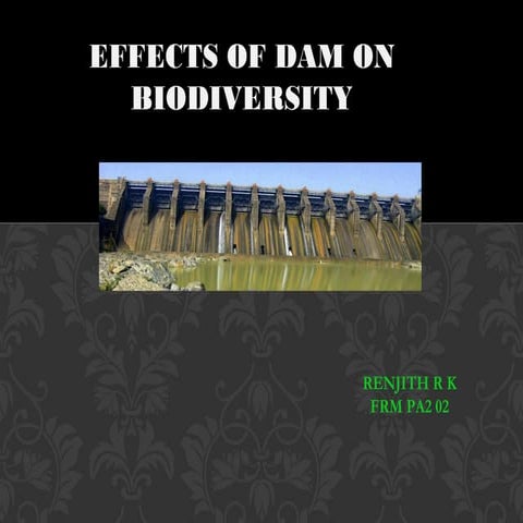 Effect of dam on biodiversity | PPT