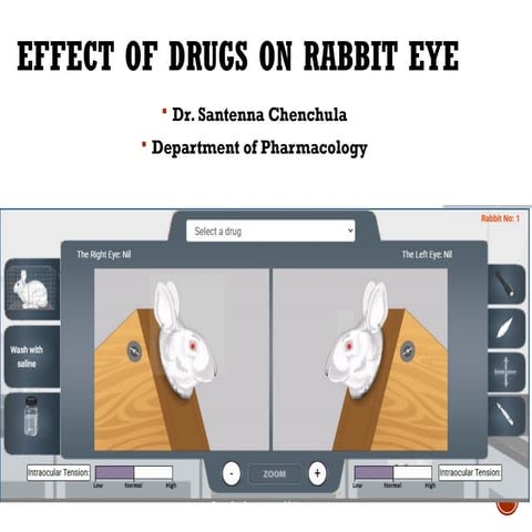 Expt 9 Effect of drugs on rabbit eye | PPTX