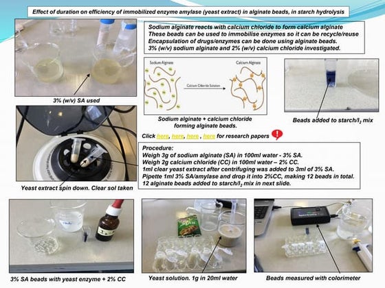 IA on efficiency of immobilized enzyme amylase (fungal extract) in ...