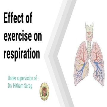 Effect of exercise on respiration.pdf