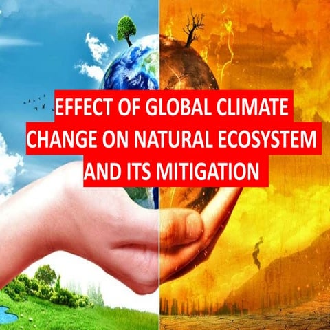 Effect of Global Climate Change on Natural Ecosystem and its Mitigation ...