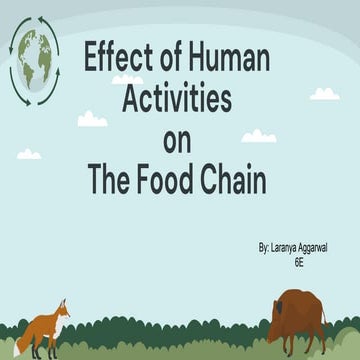 Effect of Human activities on The Food Chain by Laranya [Autosaved].pptx