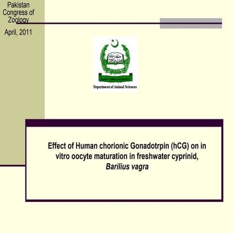 Effect of human chorionic gonadotrpin (h cg) | PPT | Endocrine and ...