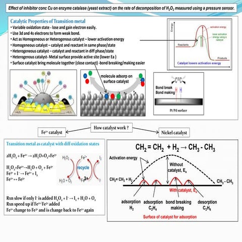 IA on effect of inhibitor concentration copper on enzyme catalase ...