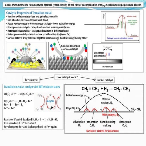 IA on effect of inhibitor concentration lead on enzyme catalase (yeast extract) on the rate of ...
